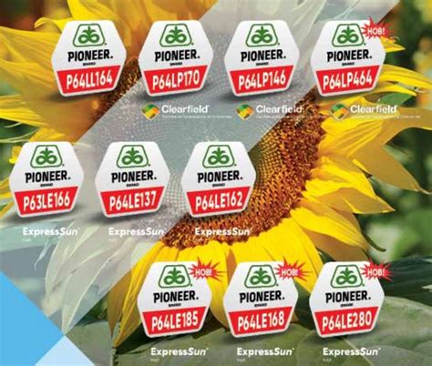 Corteva Agriscience Bulgaria