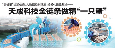 身份证追溯信息大数据控制环境规模化建设基地 天成科技全链条做精一只蛋 行业资讯 天成蛋业 天晟牧园 打造中国优质蛋品供应商