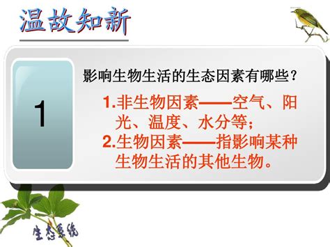 生物与环境组成生态系统 Word文档在线阅读与下载 无忧文档