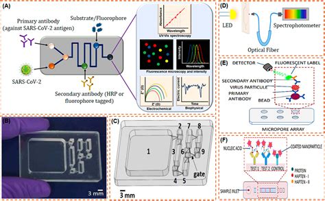 Microfluidics Diagnostics At John Whyte Blog