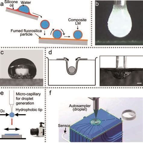 Various Preparation Methods For Lms A Inclined Rolling Method Download Scientific Diagram