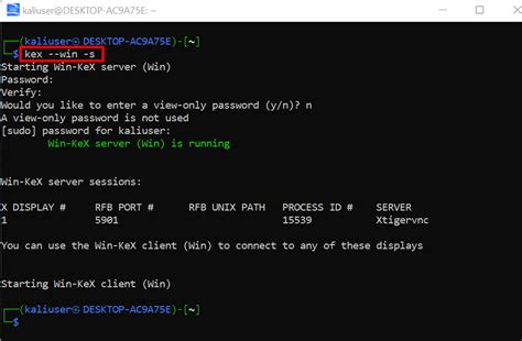 Cómo Configurar Kali En Wsl Muylinux