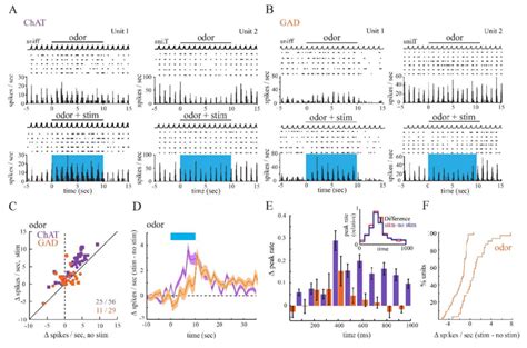Optogenetic Activation Of Cholinergic And Gabaergic Ob Inputs Modulates