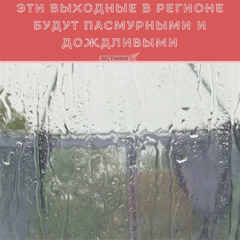 Эти выходные в регионе будут пасмурными и дождливыми В субботу 20 мая