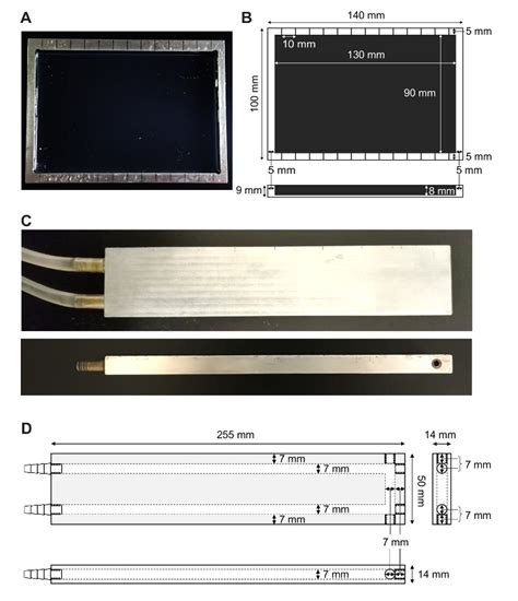 A Temperature Gradient Assay To Determine Thermal Preferences Of