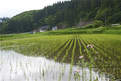 2023年如何牢牢守住18亿亩耕地红线？要把握好三个环节！