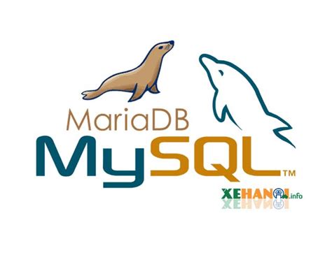 C Ch I M T Kh U Root C A Mysql Ho C Mariadb Trong Centos