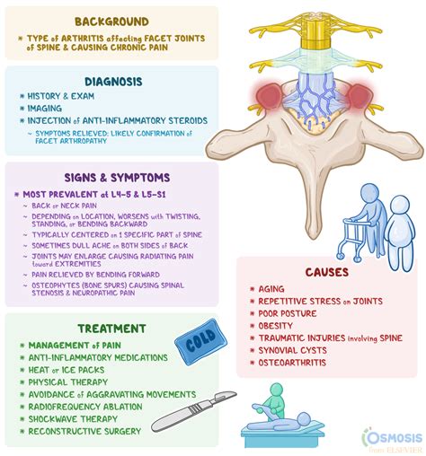 Facet Arthropathy What Is It Causes Signs And Symptoms And More