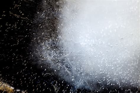 Guest Curator Heidi Romano Lenscratch