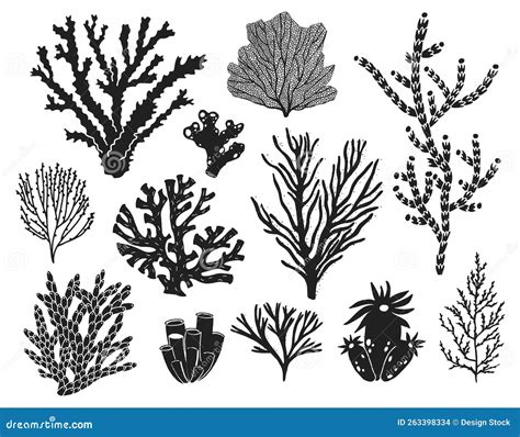 Collection Of Corals And Seaweed Set And Seamless Isolated Vector