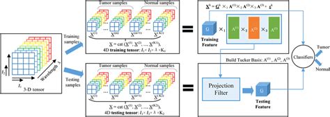 feature extraction using tucker tensor decomposition download scientific diagram