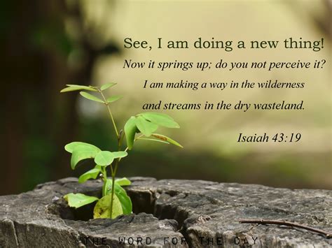 The Word For The Day See I Am Doing A New Thing Isaiah 43 19 God