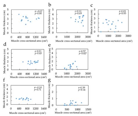 Correlation Coefficient Between Muscle Cross Sectional Area In Sitting Download Scientific