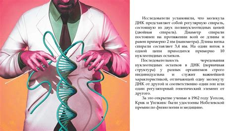 Спираль жизни презентация онлайн