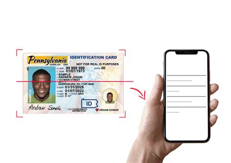 State ID OCR API Access API SDK For Seamless Integration USA