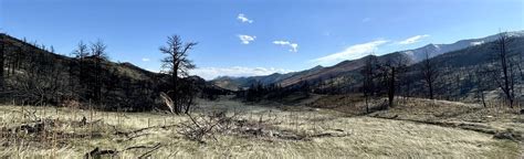 Lichen Loop Trail Colorado 315 Reviews Map Alltrails