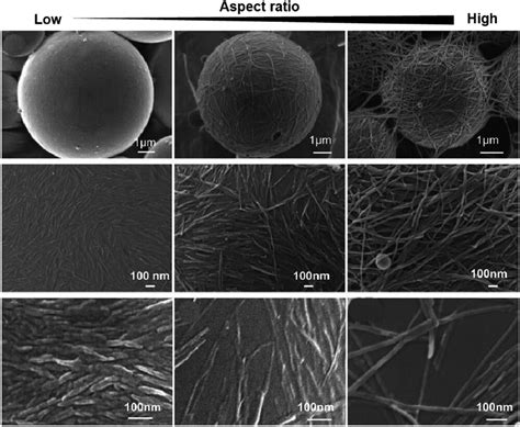 Pickering Multiphase Materials Using Plant‐based Cellulosic Micro Nanoparticles Liu 2024