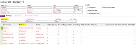 How To Get Data Type Size Of Table Using IFS Application 10 IFS