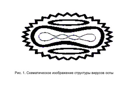 Оспа - презентация онлайн