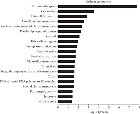 Gene Ontology Go Enrichment Analysis Top 20 In High Expression