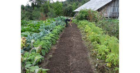 Засиленият контрол на Министерството на земеделието пази високото качество на българската