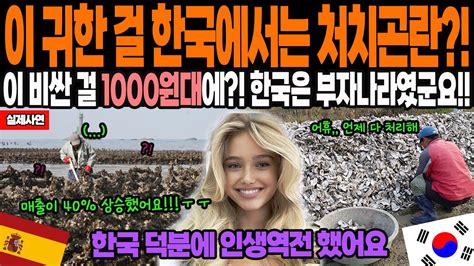 [해외감동사연]한국은 이 귀한 걸 한국에서는 처치곤란 이 비싼게 1000원대면 다 쓸어오자 Youtube
