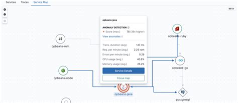 Apm Version 780 Apm Overview 78 Elastic