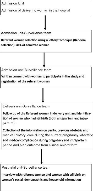 Data Collection Flow Chart Download Scientific Diagram