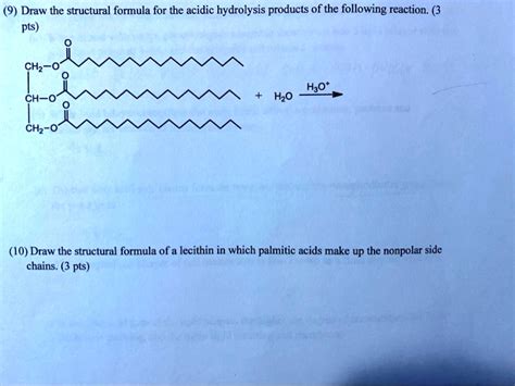 Lecithin Hydrolysis At Ben Gruner Blog