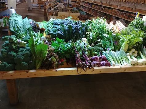 A Day In The Life With Actor Moya Oconnell