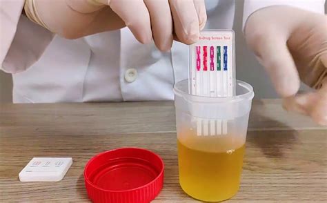 Conoce Los Diferentes Tipos De Pruebas De Antidoping Ceead