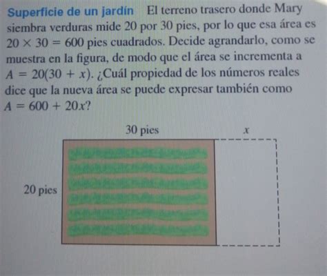 Solved Superficie de un jardín El terreno trasero donde Mary siembra