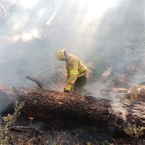 El Incendio En El Parque Nacional Los Alerces Fue Controlado En Todos