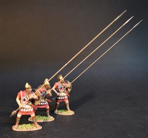 Macedonian Phalangite