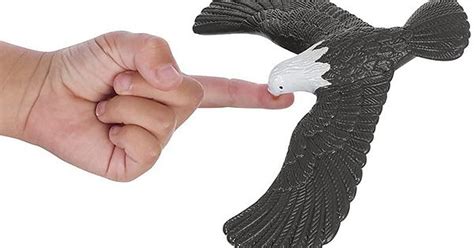 Balancing Eagle Toy Album On Imgur