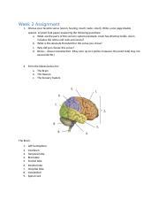 Week 2 Assignment part 2 Completed .docx - Week 2 Assignment 1. Choose your favorite sense ...