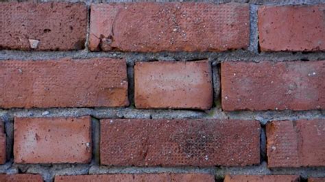 1600 Solid Wall Background Stock Videos And Royalty Free Footage Istock