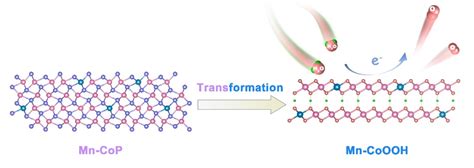 材料基因组工程研究院冯凌燕教授课题组在《chemical Engineering Journal》上发表电催化最新研究成果 上海大学新闻网