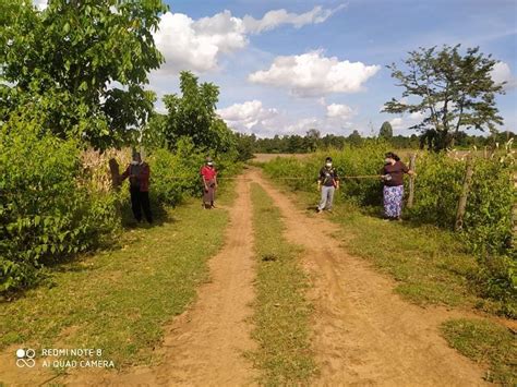 လွိုင်လင်မြို့နယ်တွင် လယ်ယာမြေဧက ၁၀၀၀ ကျော်အကျိုးပြုမည့် ကျေးလက်ကုန်ထုတ