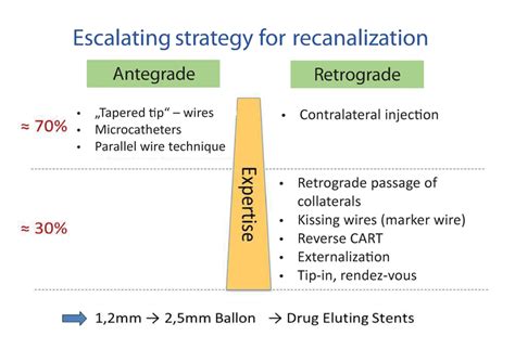 Anterograde Vs Retrograde
