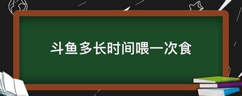 斗鱼多长时间喂一次食 业百科