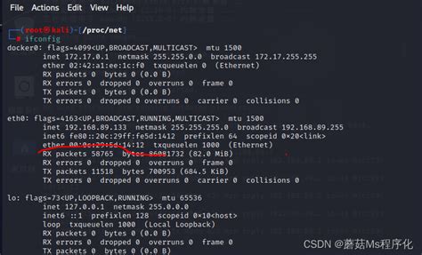 网络协议与攻击模拟 模拟对防火墙攻击的操作 CSDN博客