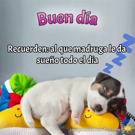 Imágenes Buenos Días Chistosas 😁🤣 Imágenes Buenos Días
