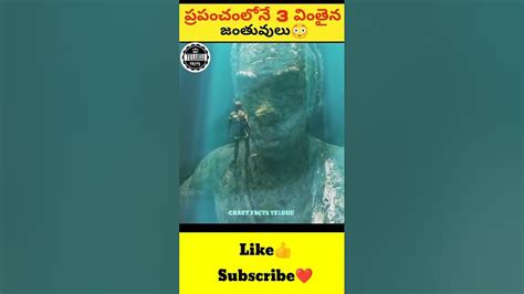 Top 03 Intresting Facts Telugu 😮🥵💯🤯 Crazyfacts Factstelugu Telugu
