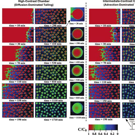 Series Of Color Images Representing Solute Concentration As A Function Download Scientific