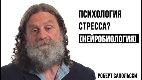 ПСИХОЛОГИЯ СТРЕССА [САПОЛЬСКИ] - YouTube