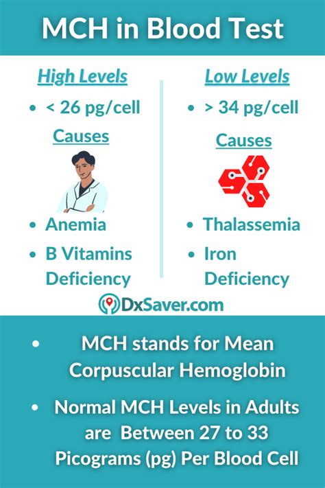 What Is Mch In Blood Tests Mch Blood Test Normal High And Low Levels
