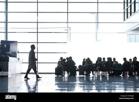 The Sea Of Trees Matthew Mcconaughey 2015 Ph Jake Giles Netter