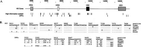 Highly Conserved Sequence Blocks And Differential Phylogenetic Download Scientific Diagram