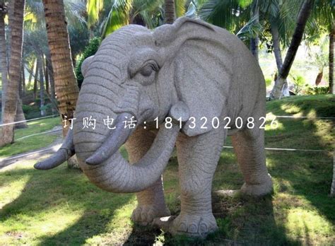 大理石动物雕塑公园石雕大象 卓景雕塑公司